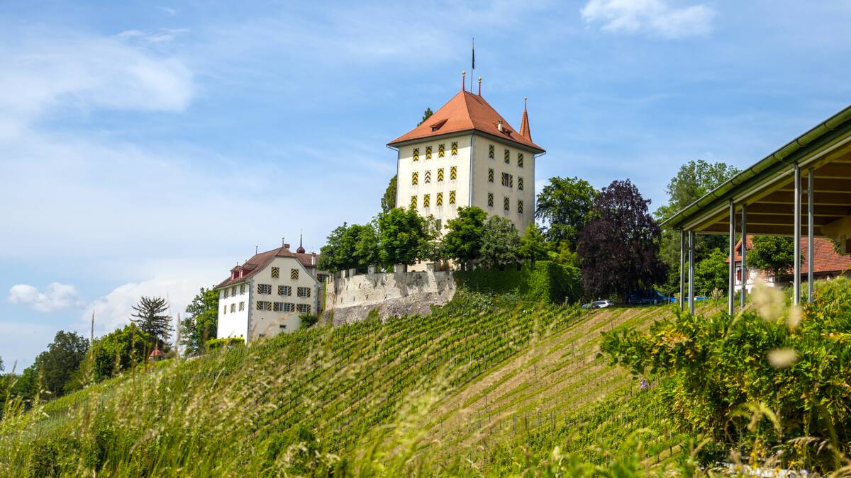 Au château de Heidegg, small is beautiful! | GaultMillau