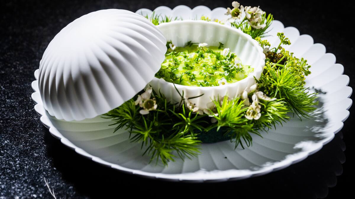 Luzern hat einen neuen Star: Chef Gilad Peled | GaultMillau
