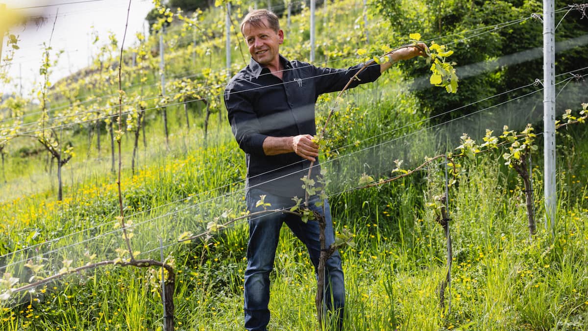 Klus 177, la voie de la biodynamie à Bâle | GaultMillau