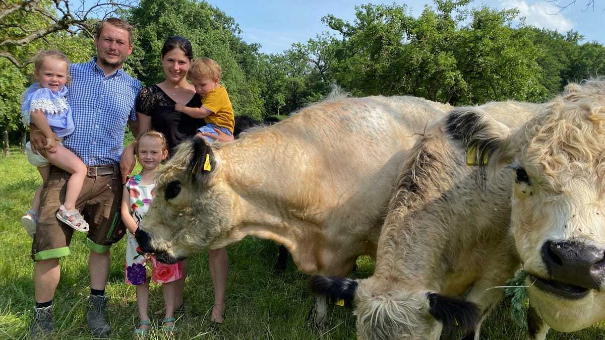 Reben & Rinder auf dem Genfer Château des Bois | GaultMillau