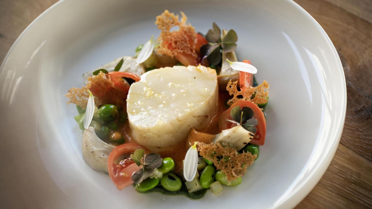Glacier 51 Toothfish: Das Wagyu unter den Fischen | GaultMillau