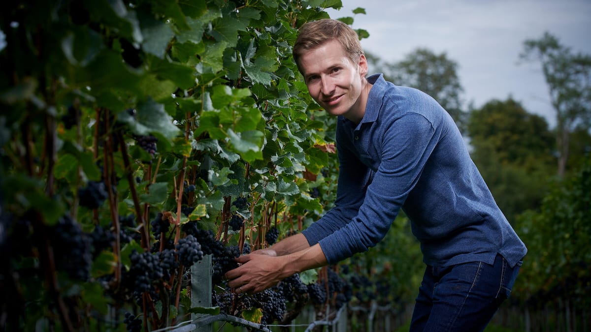 Morgan Meier: Der Pinot-Magier aus Neuenburg | GaultMillau