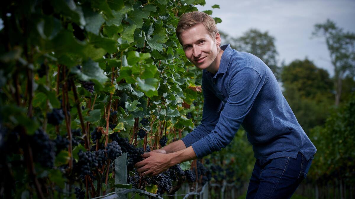 Morgan Meier, le magicien du pinot noir | GaultMillau