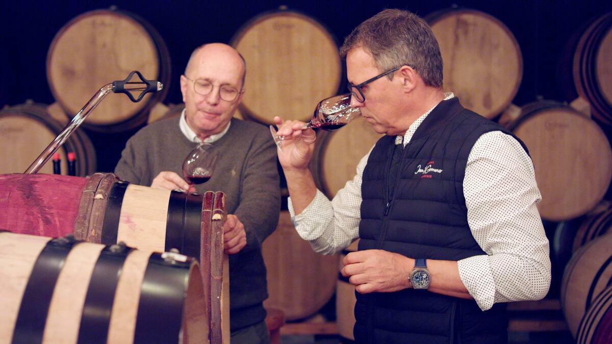 Pop-up in Zürich: Nur Schweizer Weine! | GaultMillau