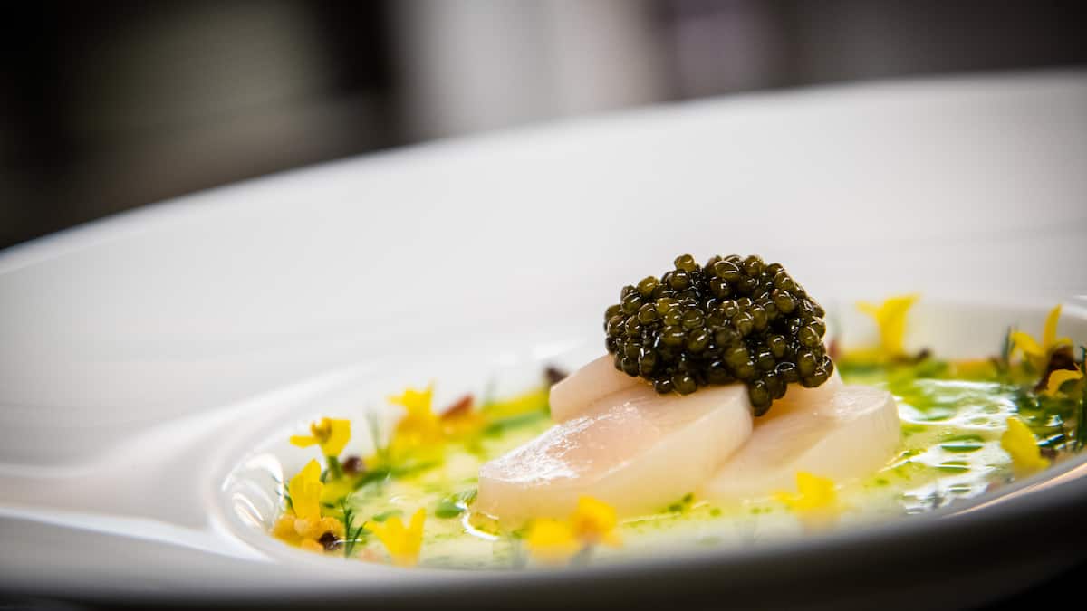 Kaviar! Die besten Rezepte der Starchefs | GaultMillau