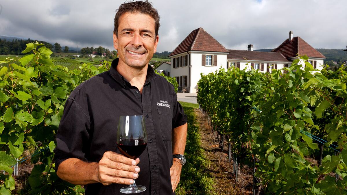 Burgat: Tolle Weine. Und tolle Etiketten | GaultMillau