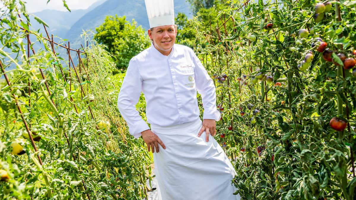 Tomaten | GaultMillau