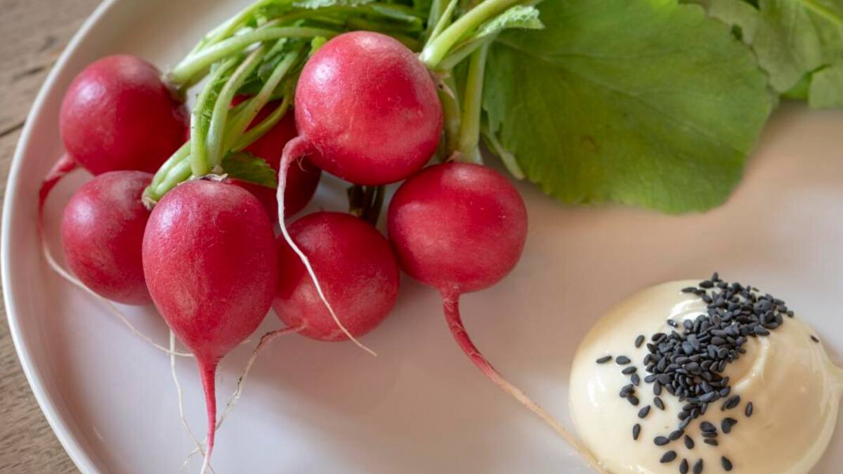 Radieschen, Rettich & Zitronenmayonnaise | GaultMillau