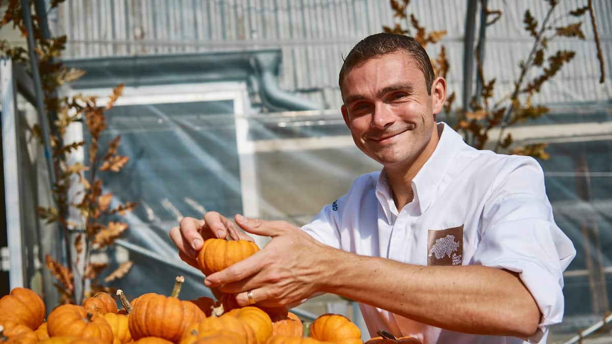 Es ist Saison! Rezepte mit Kürbis und Tipps von den Starchefs | GaultMillau