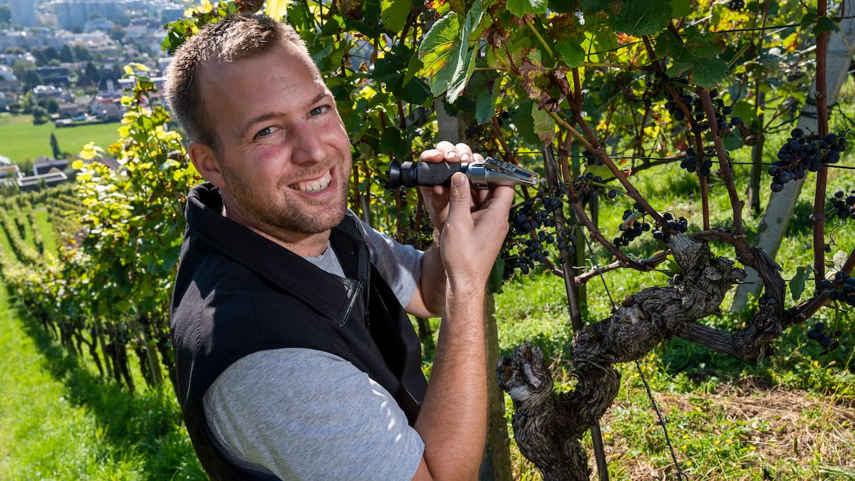 Les vins de C. Steimer: plaisir garanti! | GaultMillau