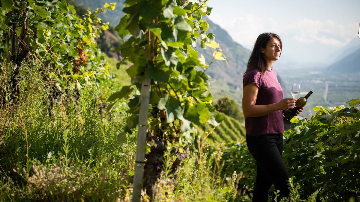 Schweizer Winzerin Mathilde Roux will Schafe in ihrem Rebberg | GaultMillau