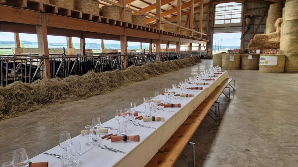 Tavolata et grands crus en pleine nature | GaultMillau