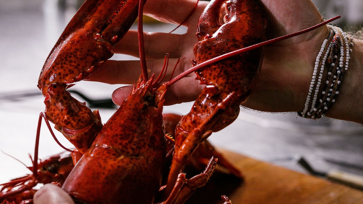 Comment réaliser un délicieux tiramiComment décortiquer la chair du ...