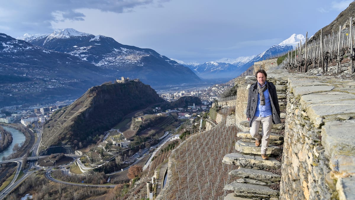 Maison Gilliard: Der Wein aus dem Steilhang | GaultMillau