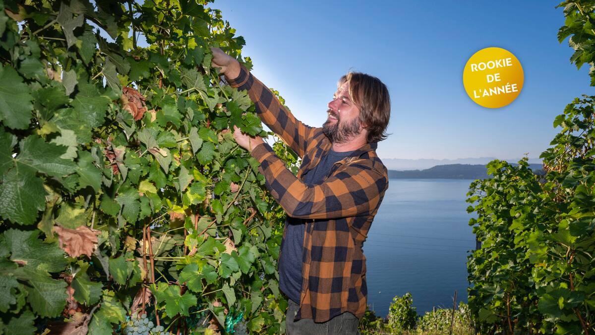 Christian Dexl: one man show pour mini-cave | GaultMillau