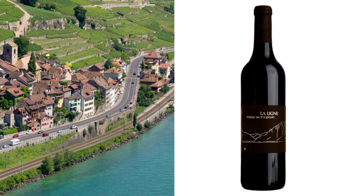 Découvrez le vin vaudois du mois d'octobre sélectionné par le ...