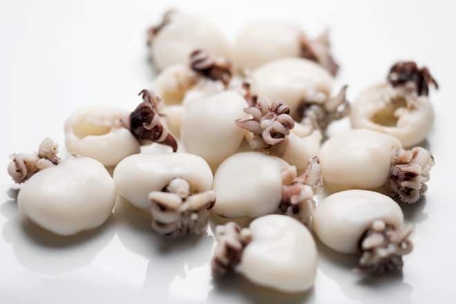 Tintenfische Pulpo Kalmar Sepia | GaultMillau